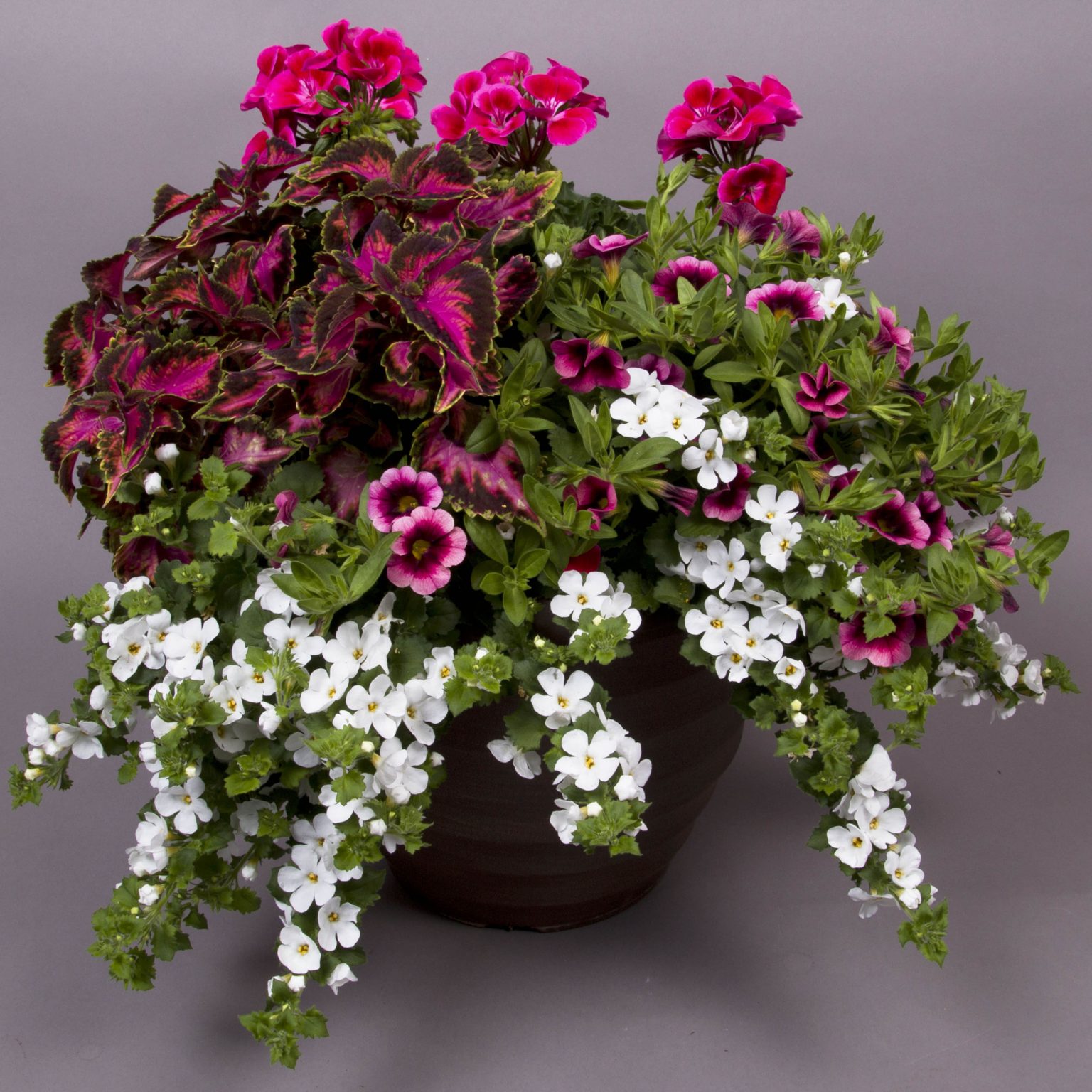 Shakopee Florist – Full Service Flower Shop in Shakopee, MN